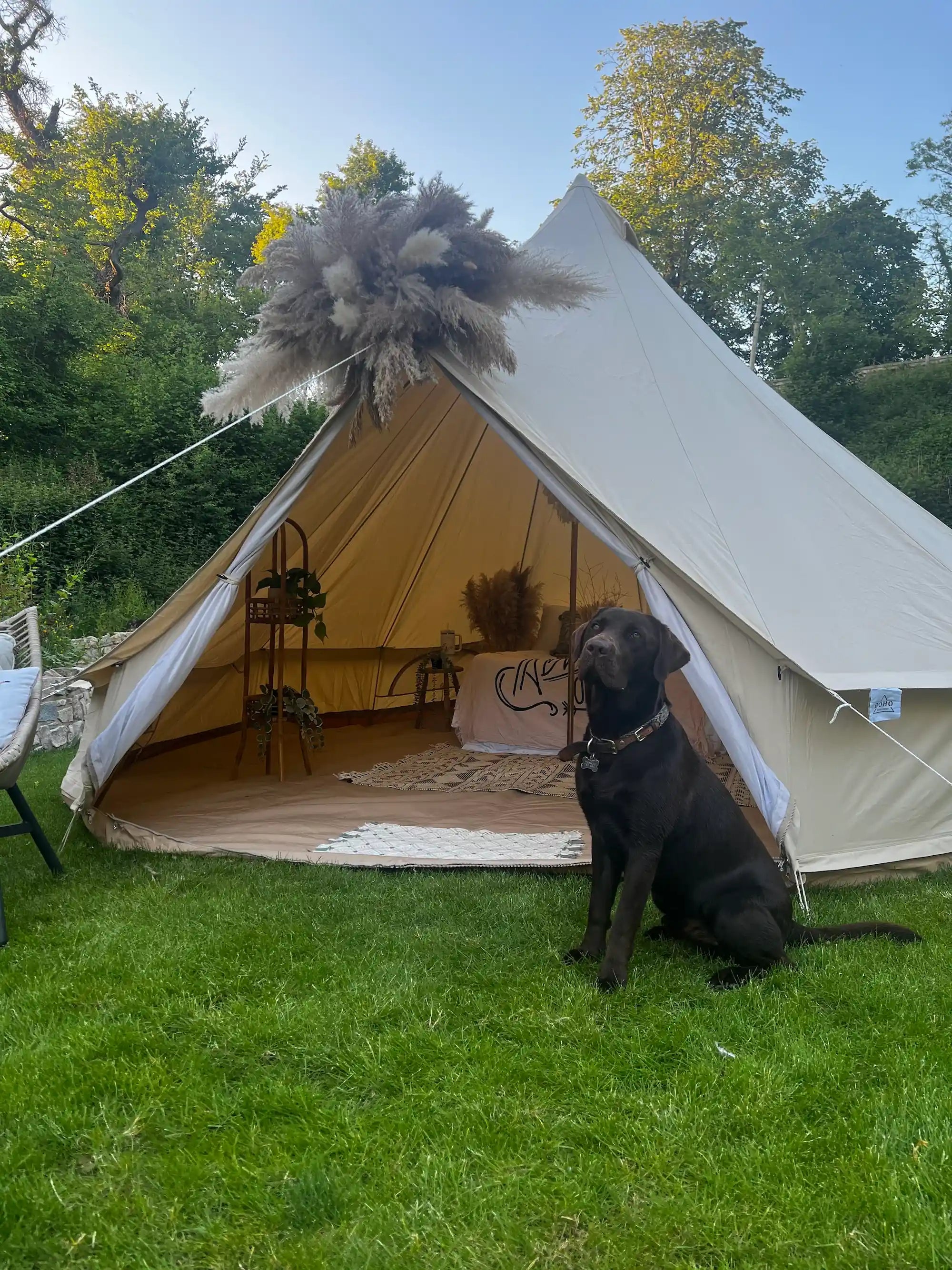 Can Pets Stay In A Bell Tent | Camping with Your Furry Friends – Boho ...